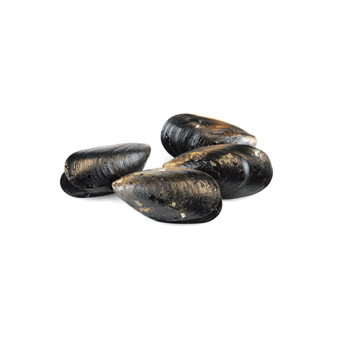 The Real Meat Company